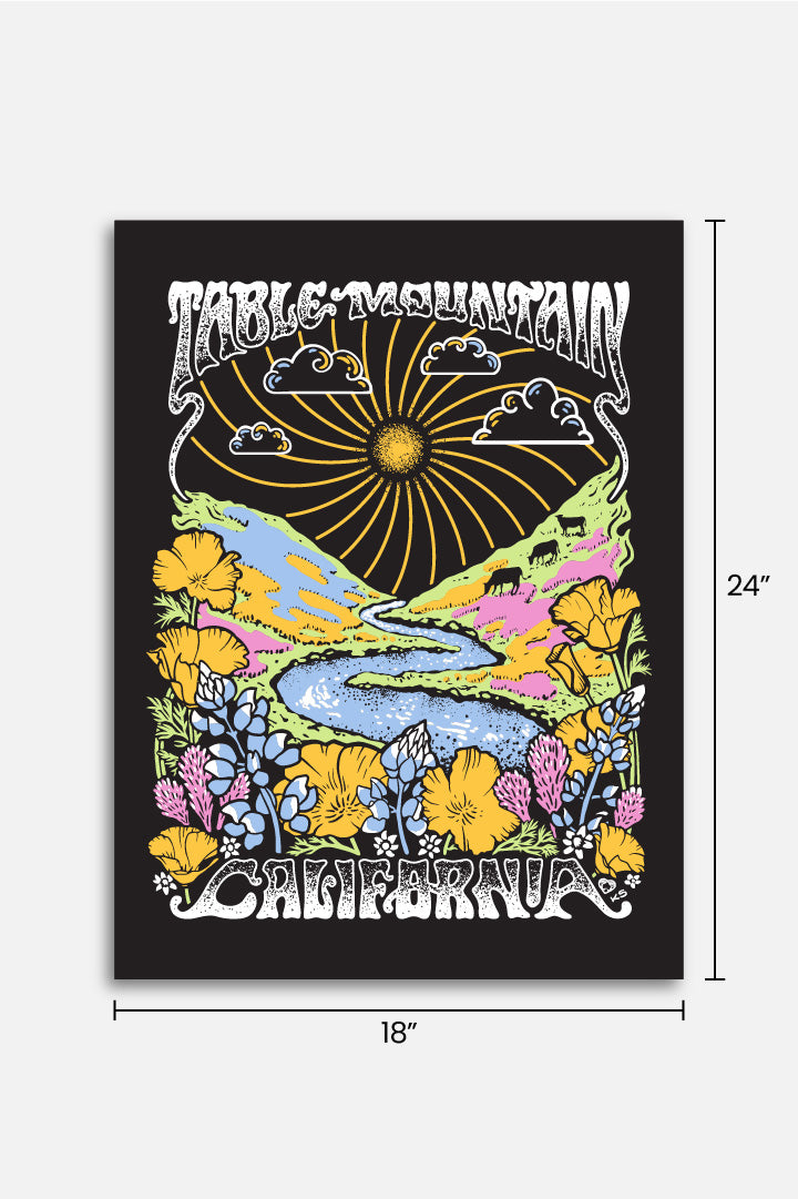 Table Mountain Poster Print – Upper Park