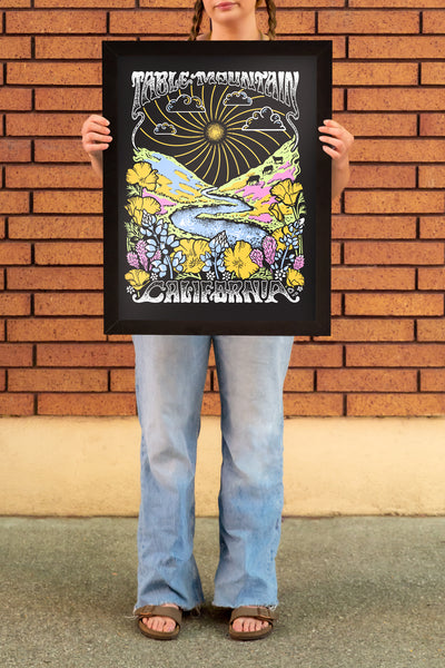 Table Mountain Poster Print – Upper Park